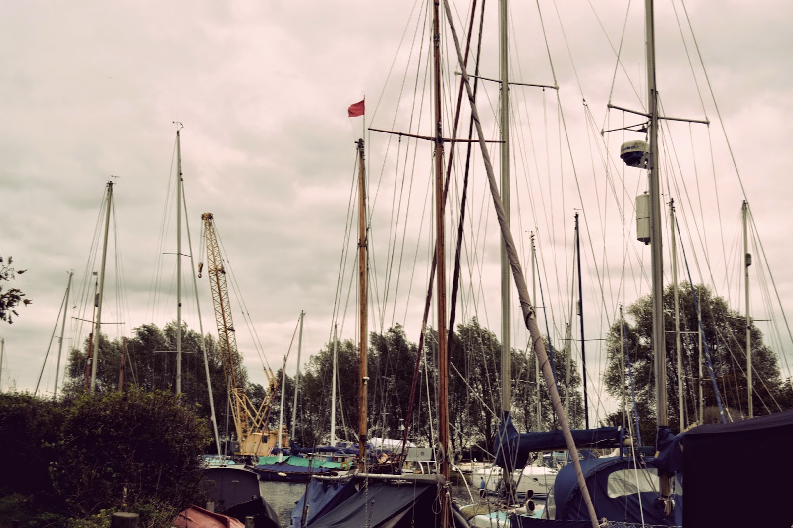 Book&aCuppa: Heybridge & Tiptree tea rooms