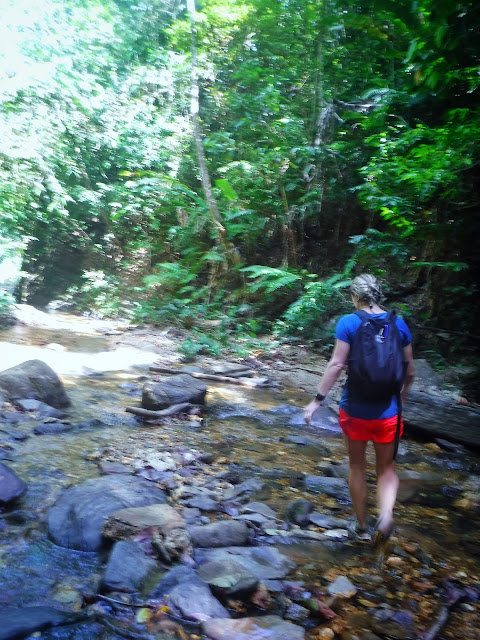 Hiking Avocat Waterfall and Three Pools - Trinidad north coast hikes