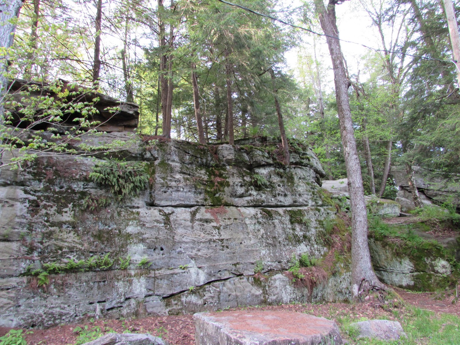 Bilger's Rocks: A Labyrinth of Boulders, Clearfield County ...