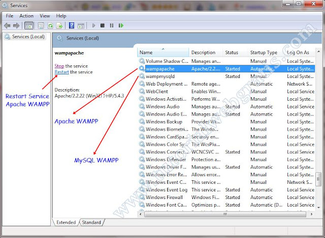 Cara install Appserv Xampp Wampp dalam satu komputer