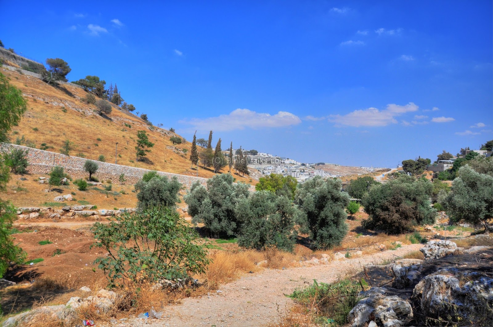 HISTÓRIA DO REGGAE: MOUNT ZION (Monte Sião)