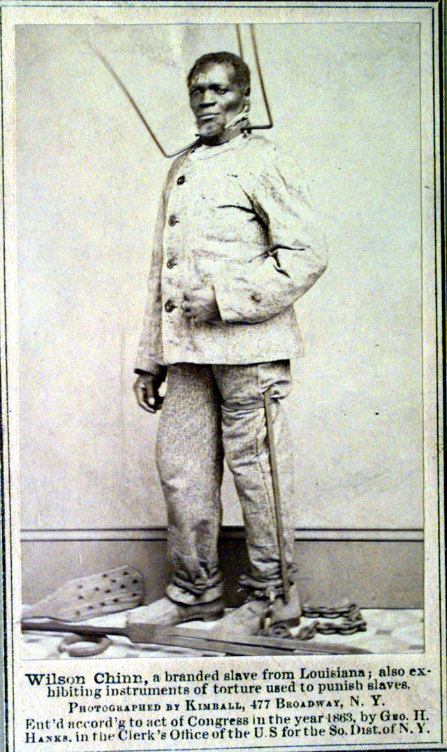 secretarisvogel: Wilson Chinn