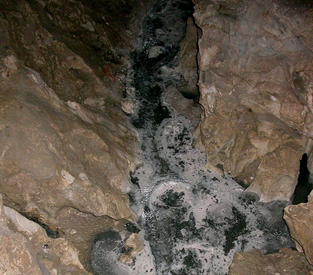 Real Monstrosities: Snottite