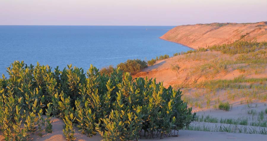 The Agatelady: Adventures and Events: Log Slide Area Hike