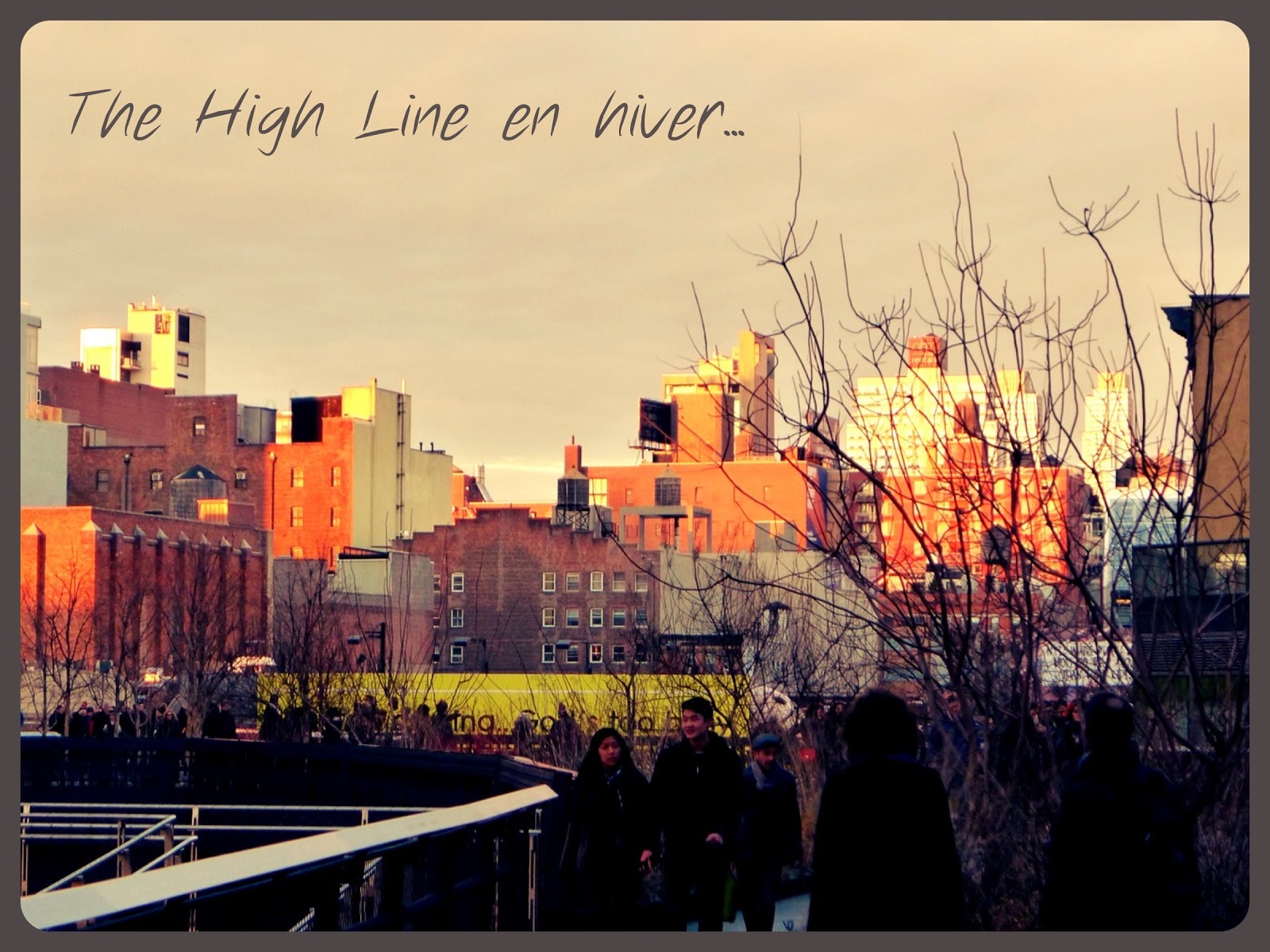 Curiosités et futilités à New York