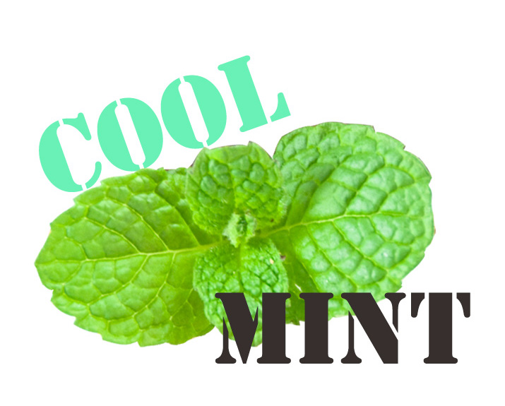 Beachy Clean Bath and Body