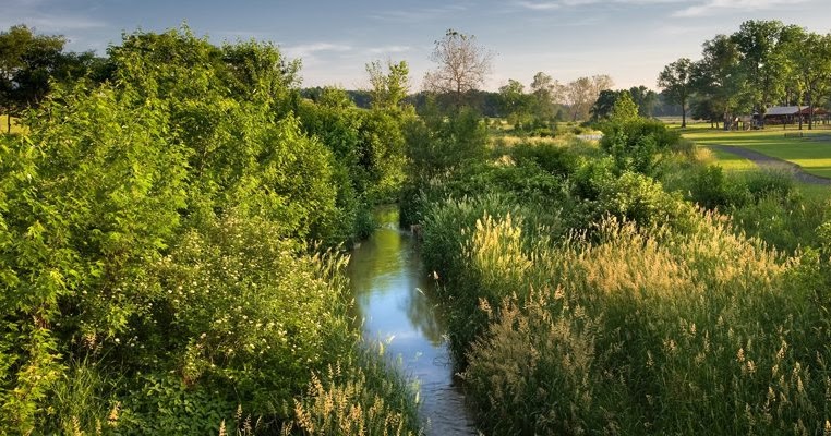 PA Environment Digest Blog: How To Fund A Riparian Buffer Project On ...