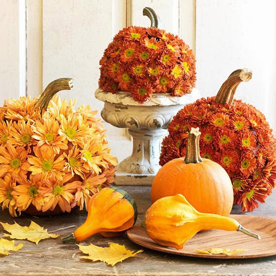 Northern Nesting: Pumpkins & Gourds