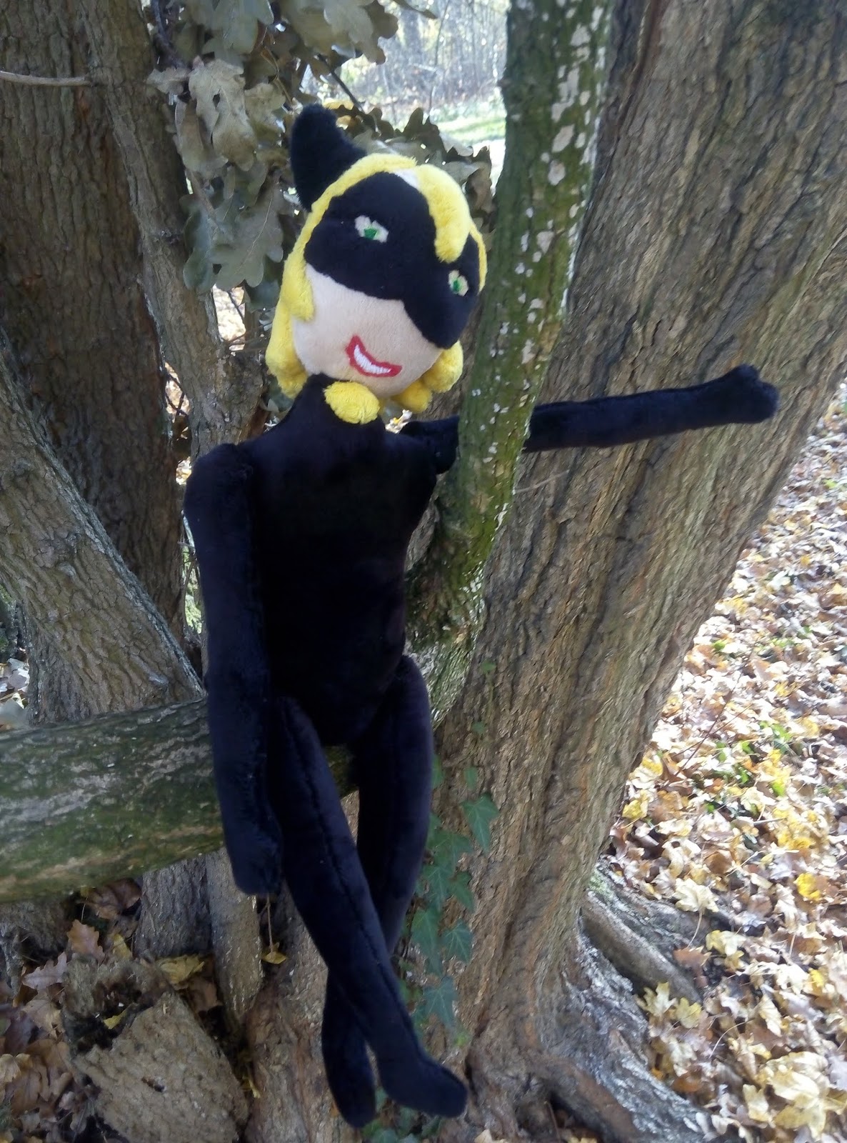 Miraculum: Czarny Kot