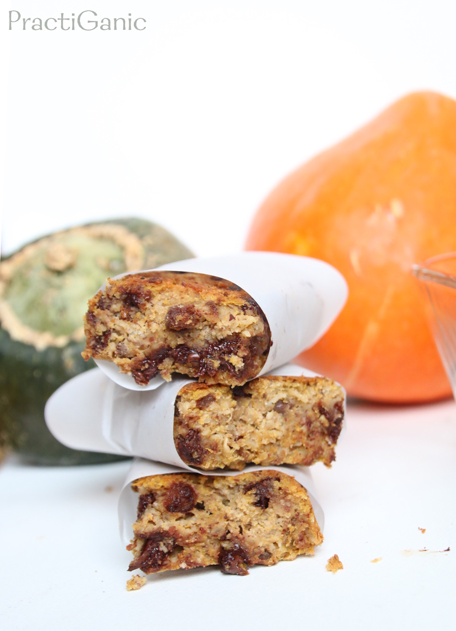 Squash and Chocolate Chip Granola Bars or Muffins | PractiGanic ...