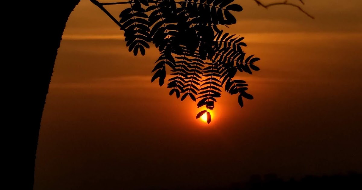 Sunset at Durga Tekdi, Pune