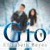 The Beginnings... by romance author Elizabeth Reyes