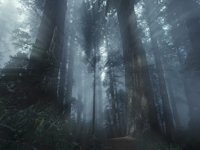 ST Diseño Gráfico: Bosque Dark