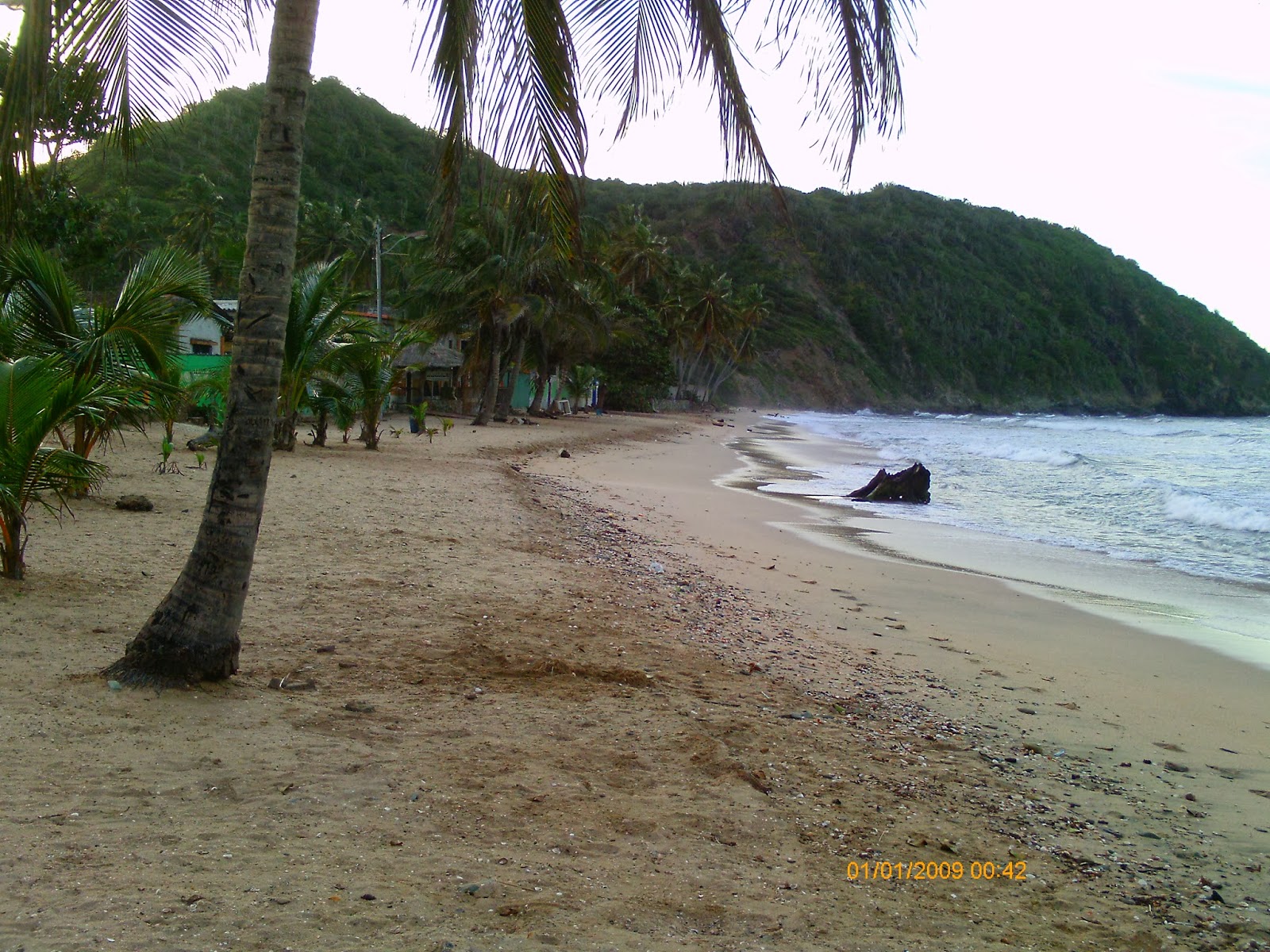 El Sabor Tropical: COMUNIDAD DE “EL COPEY”