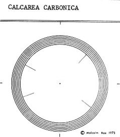 Mente, energía y máquinas: Malcolm Rae