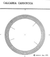 Mente, energía y máquinas: Malcolm Rae