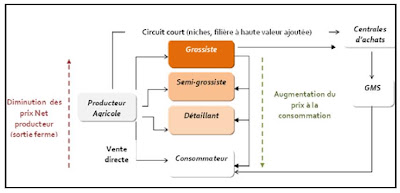 Portail de l'agriculture Marocaine: Circuits de distribution Agricoles
