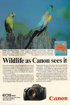 Kiwi's Angels: Canon Advertising