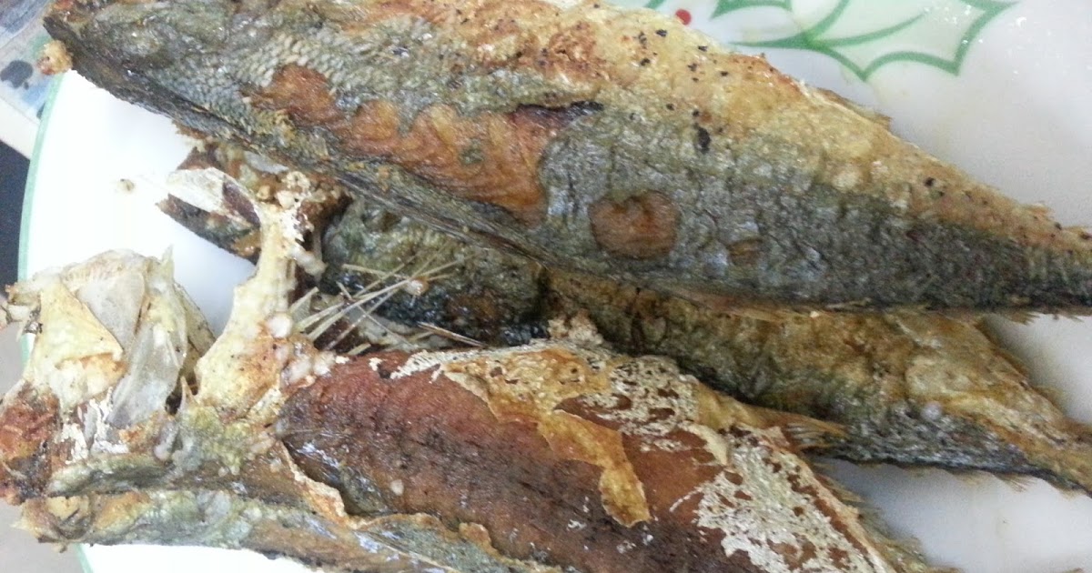 Ikan Goreng Bodoh je...... ~ SURIA AMANDA