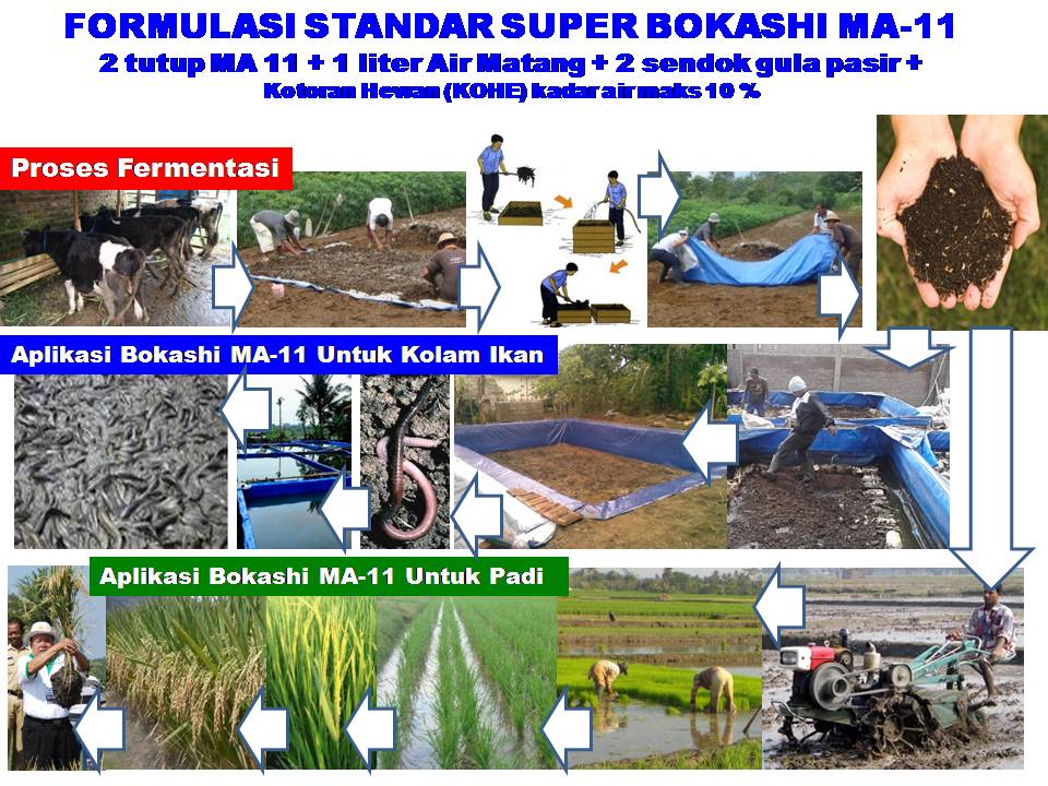 Gambar Proses Pembuatan Pakan Ternak