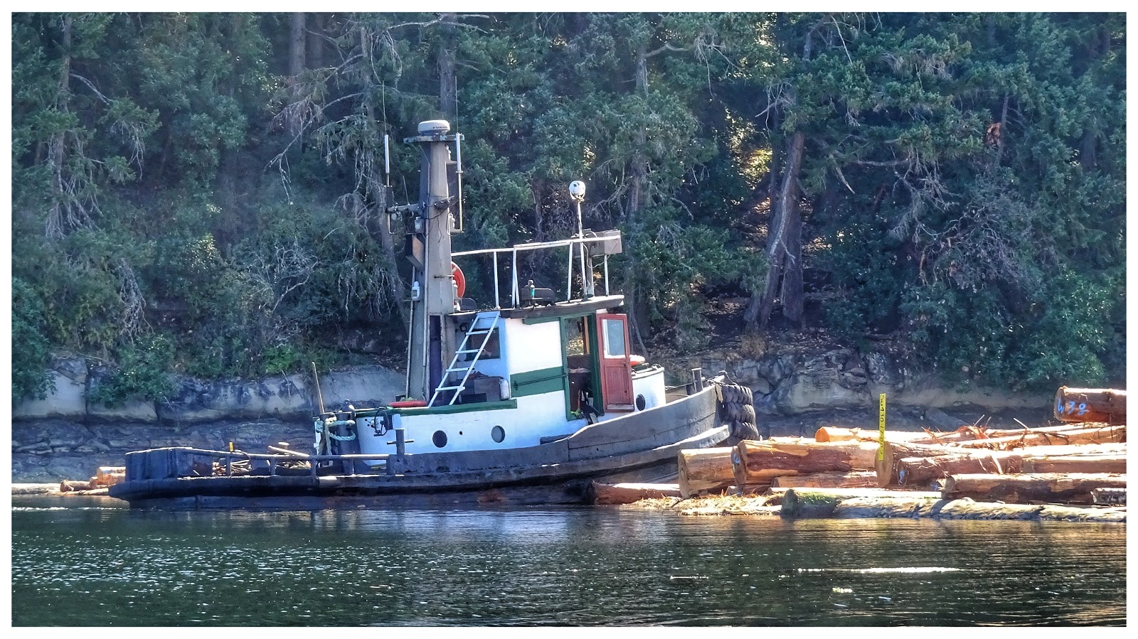 Vancouver Island in Pictures: Ladysmith - Kayaking, Boom Boats, Log Booms