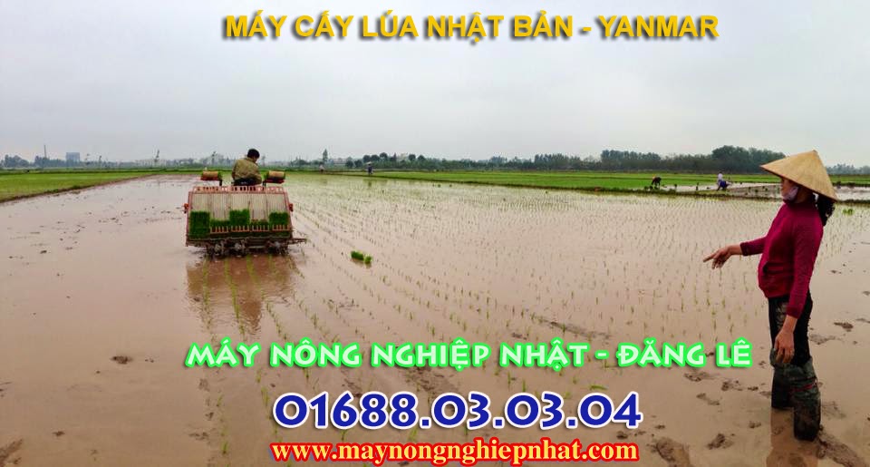 MÁY GẶT ĐẬP LIÊN HỢP NHẬT BẢN-KUBOTA-ISEKI -YANMAR: Đăng lê cấy vụ ...
