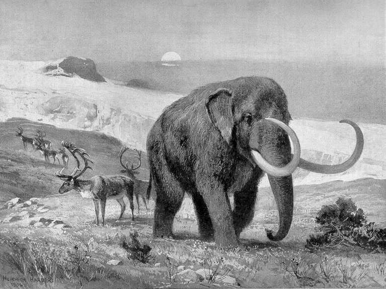 Palaeos, la historia de la Vida en la Tierra: Galería: Mastodonte (y ...