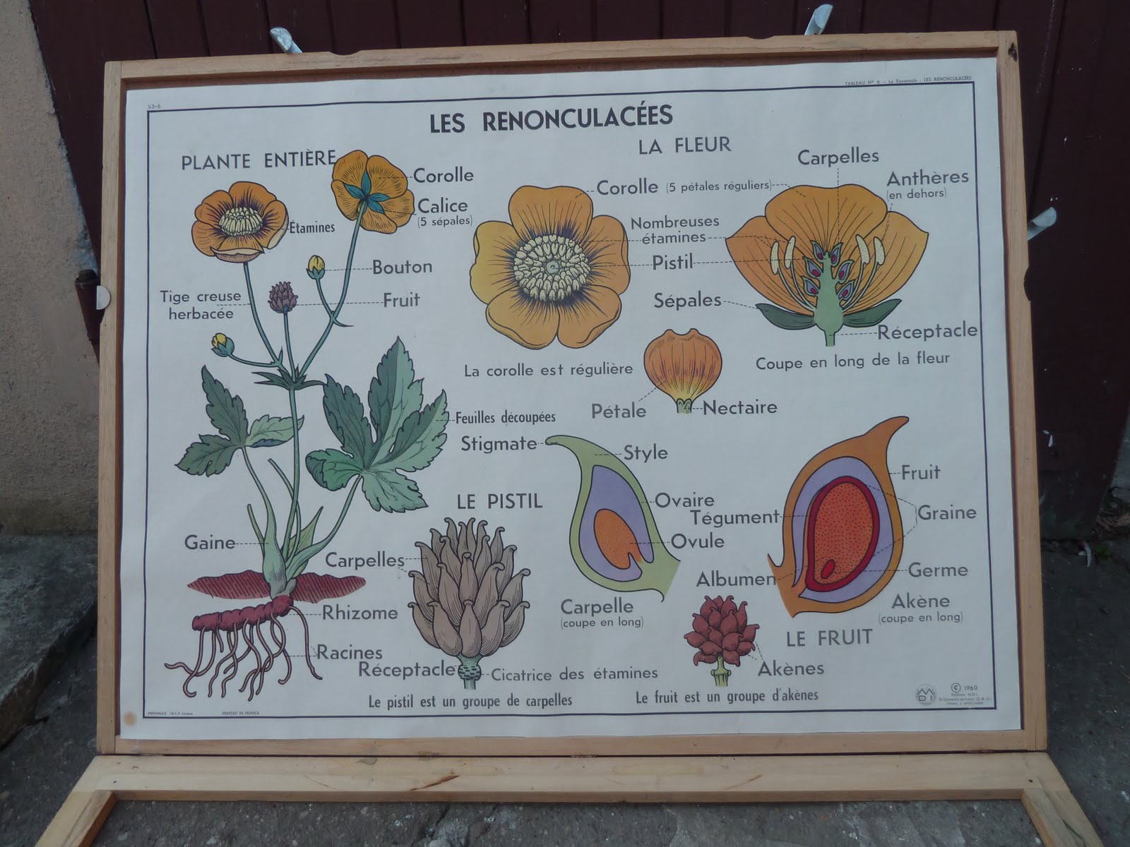 Ecole FMR 1000 Affiches scolaires: Mdi anncienne affiche scolaire les ...