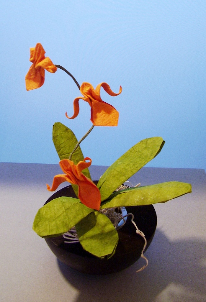 OrchidCraze: Wonderful Orchid Origami..