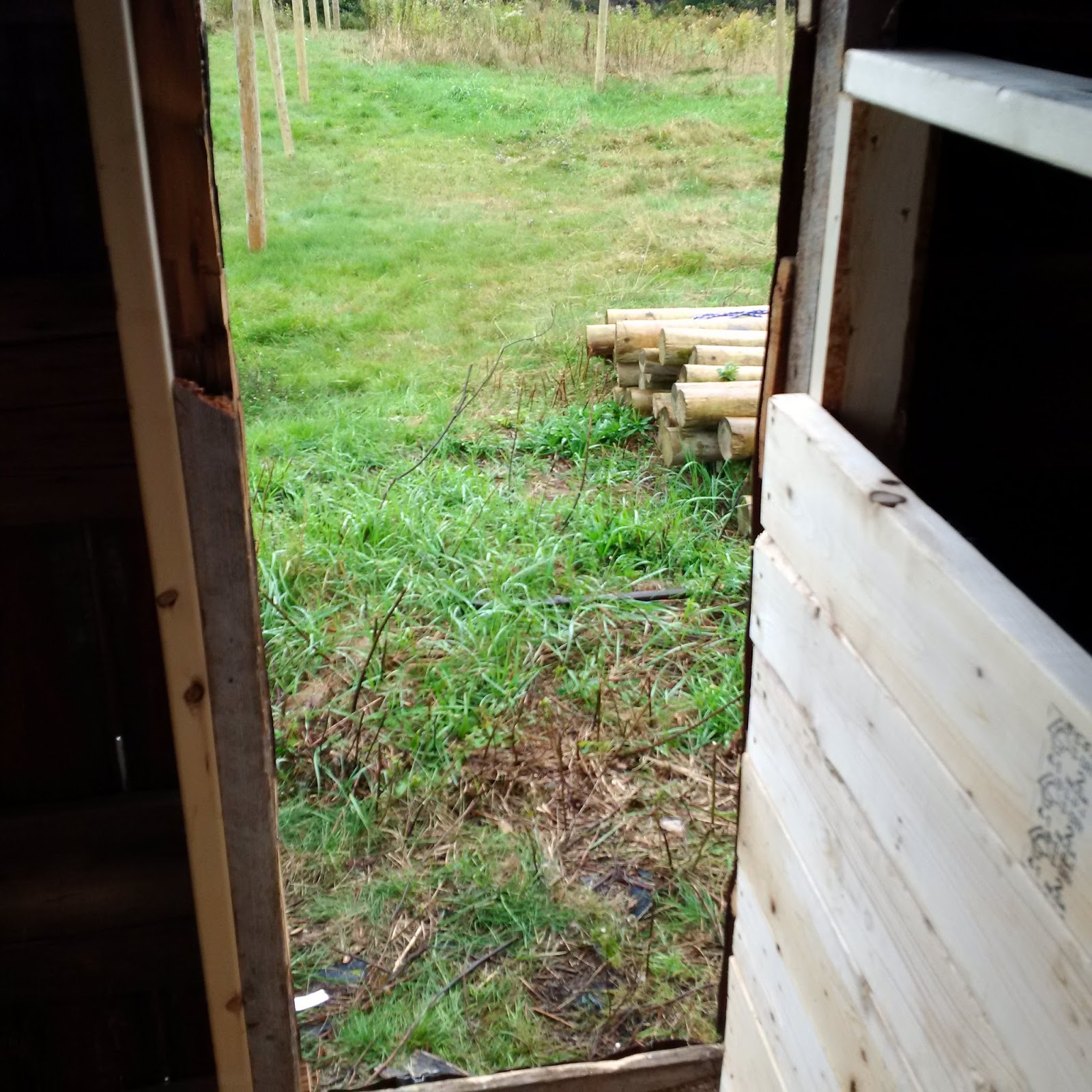 St. Mary's River Farm: Pig/goat stalls are under construction :D