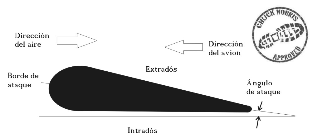 Aero Club Tornquist: Fisica extrema: Asi vuela un avión