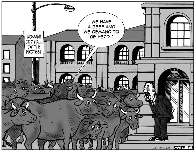 Cartoons by Miles: protest moo-vement
