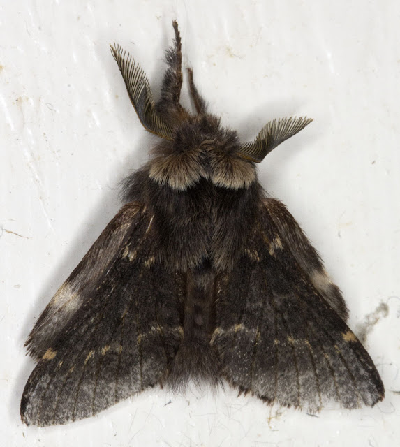 Winter Mothing | Naturally