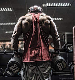 world bodybuilders pictures: be passionate like arab bodybuilder ...