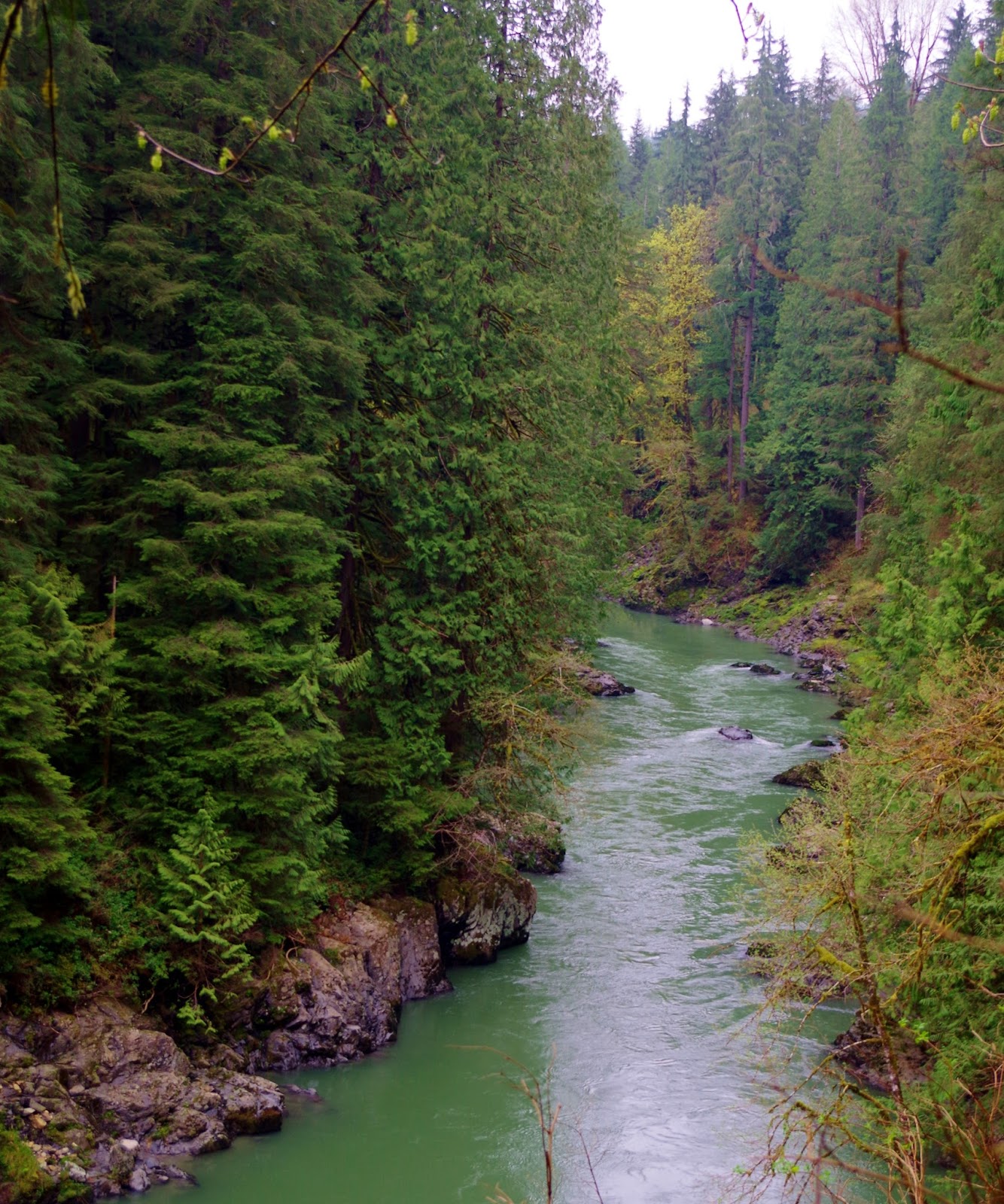 Pacific Northwest Seasons: Hiking the Cascade Foothills: Lime Kiln Trail