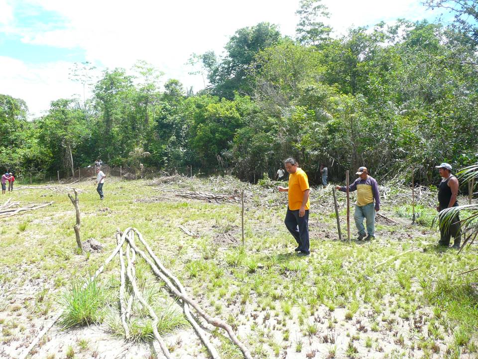 ARQUITECTURA INDÍGENA: CONSTRUCCION DE UN SHABONO YANOMAMI or "Making ...