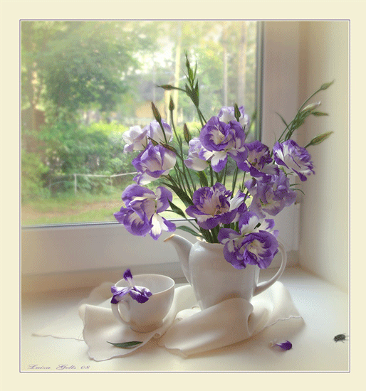 Felicitări Mişcătoare: Alte Gif-uri cu flori Frumoase