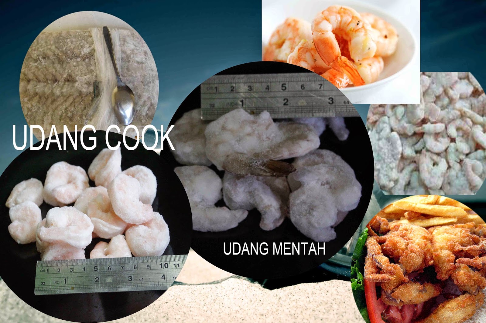 UDANG SEGAR komoditi internasional - Berbagai-processed fishery