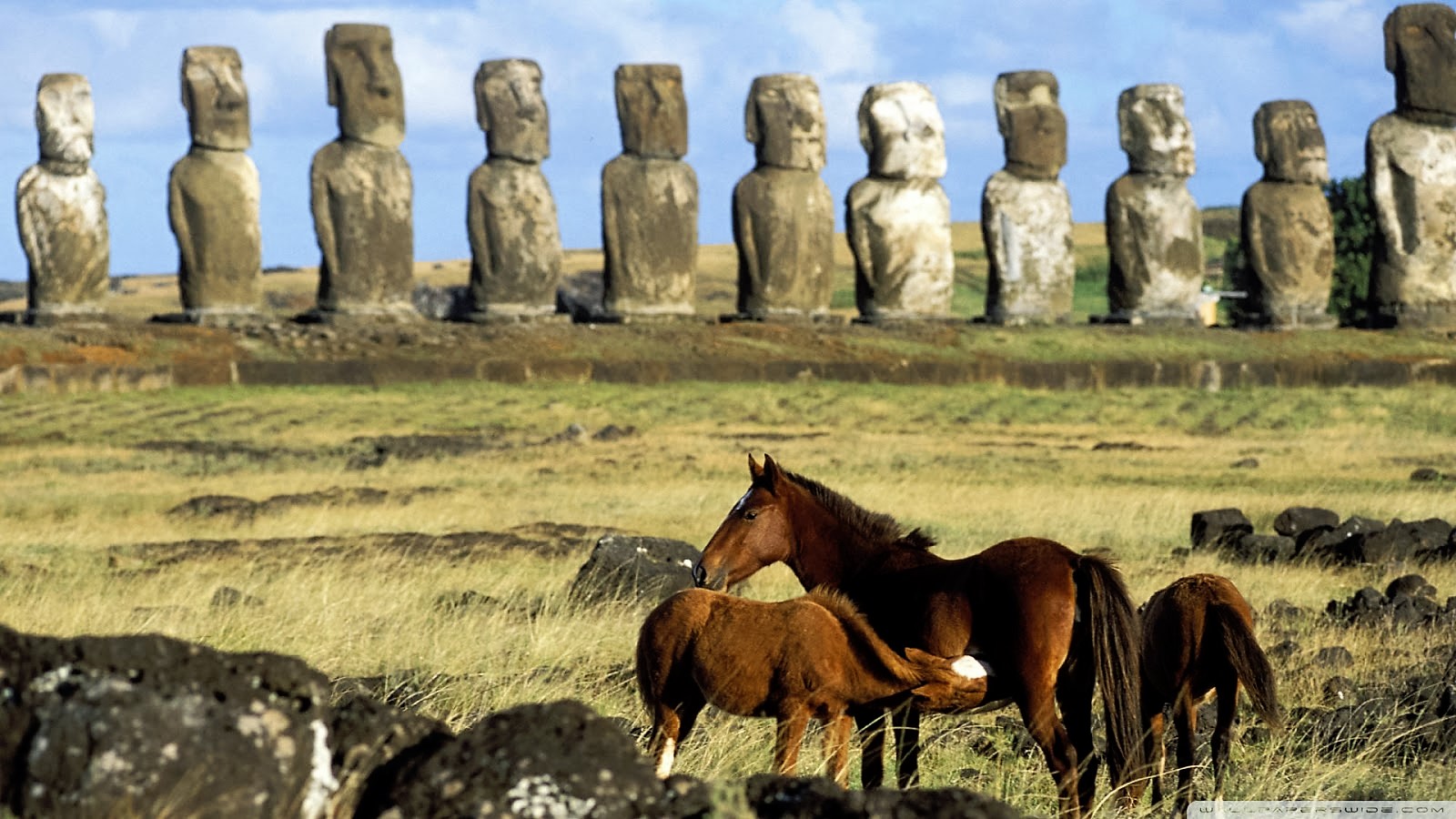 5 five 5 Easter Island Chile 5-five-5-easter-island-chile