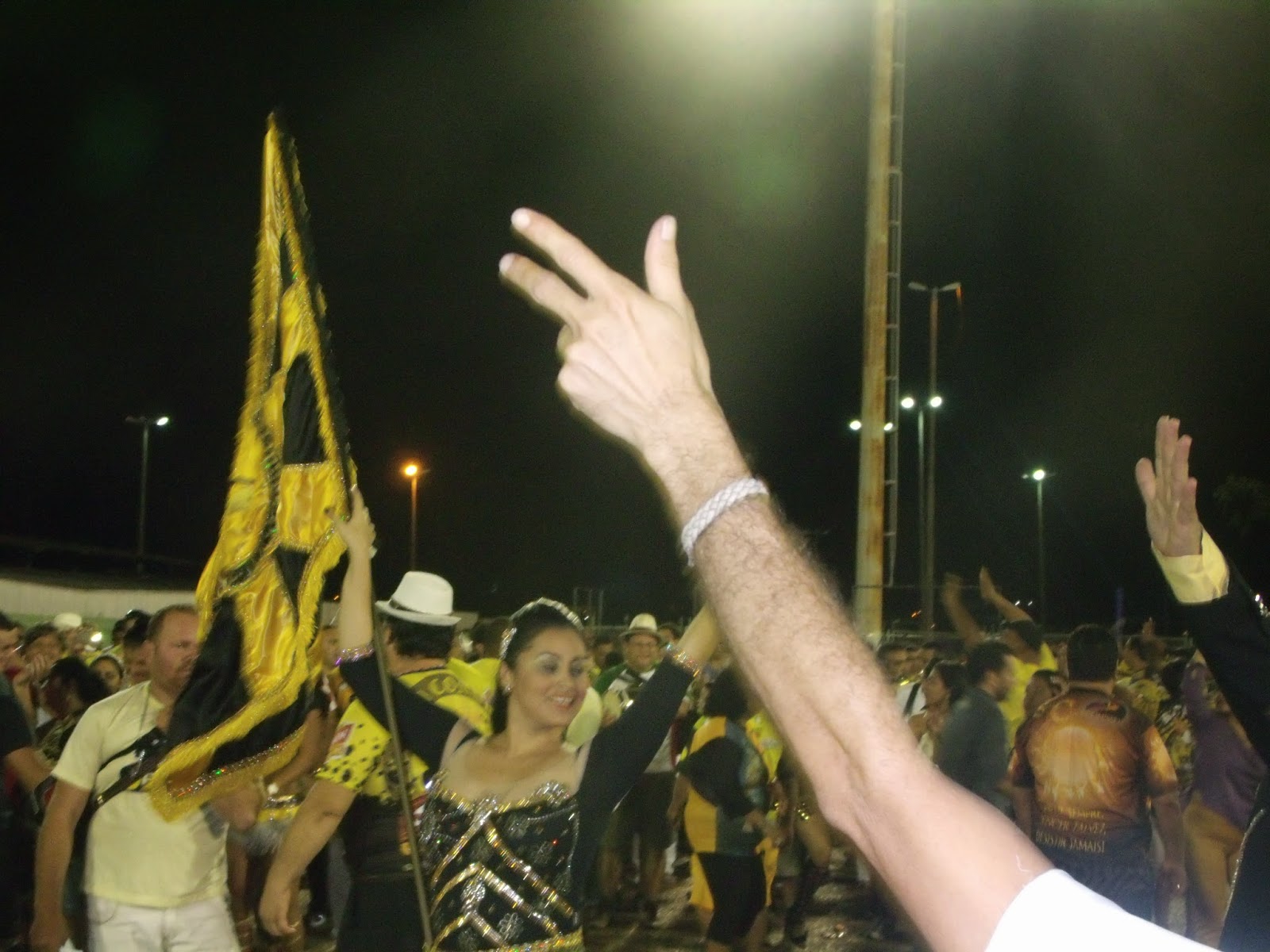 CARNAVAL NAS RUAS DE MANAUS: BÊBADOS E MISERÁVEIS DA MEMÓRIA