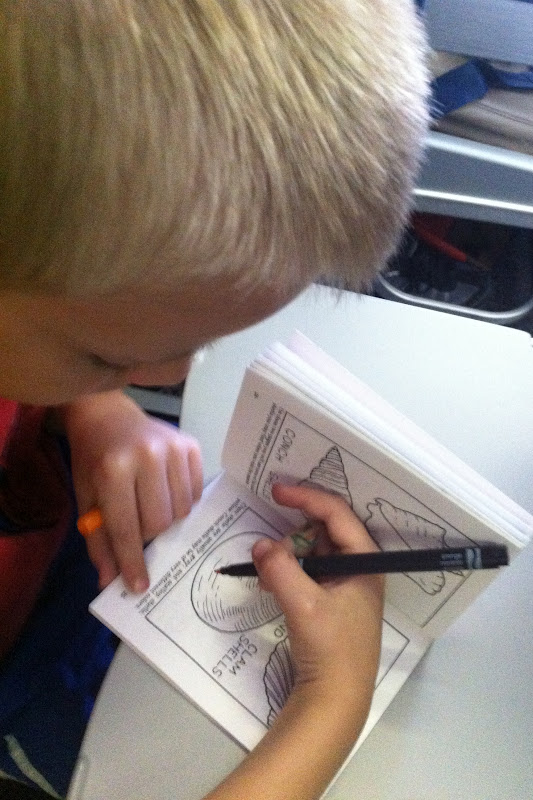 Learning With My Boys: Ocean Unit Study