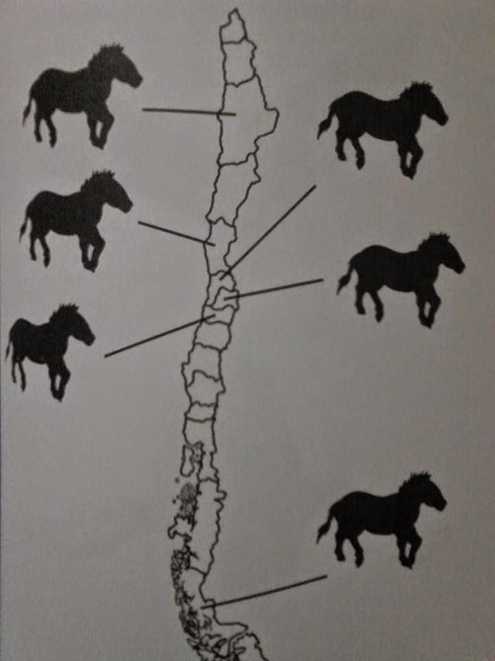 DINOSAURIOS gigantes de chile: CENOZOICO CHILENO: CABALLOS