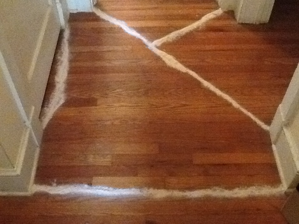 petdoctor: Snake Detector