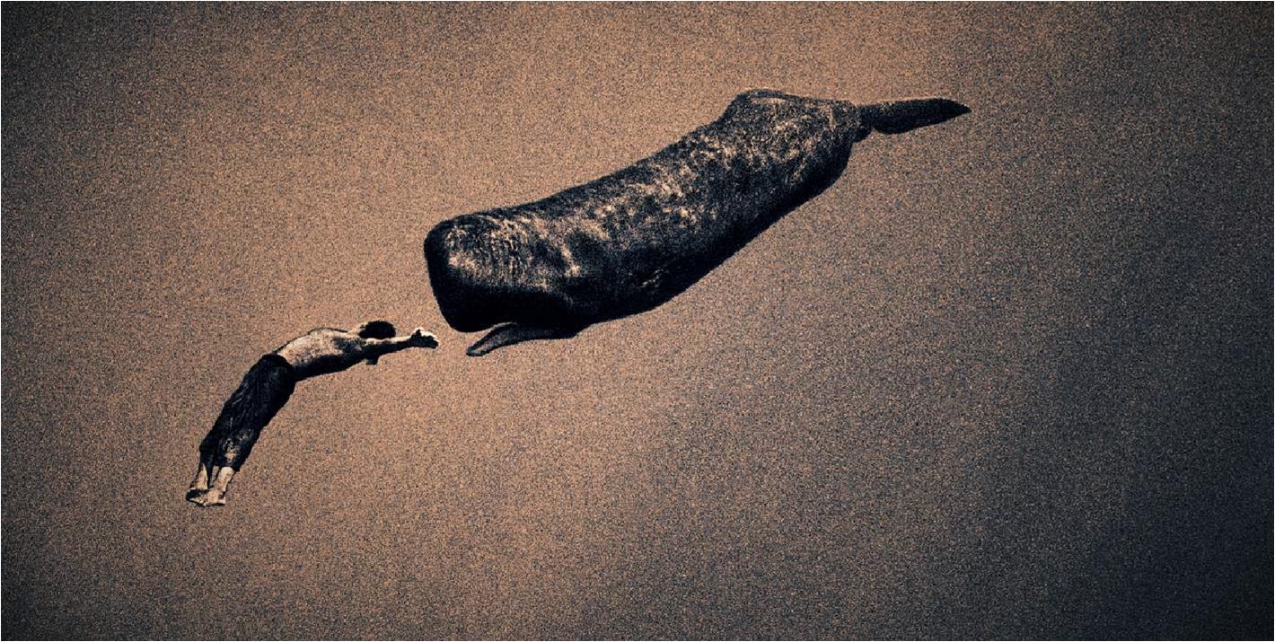 Anthony Luke's not-just-another-photoblog Blog: Photographer Profile ...