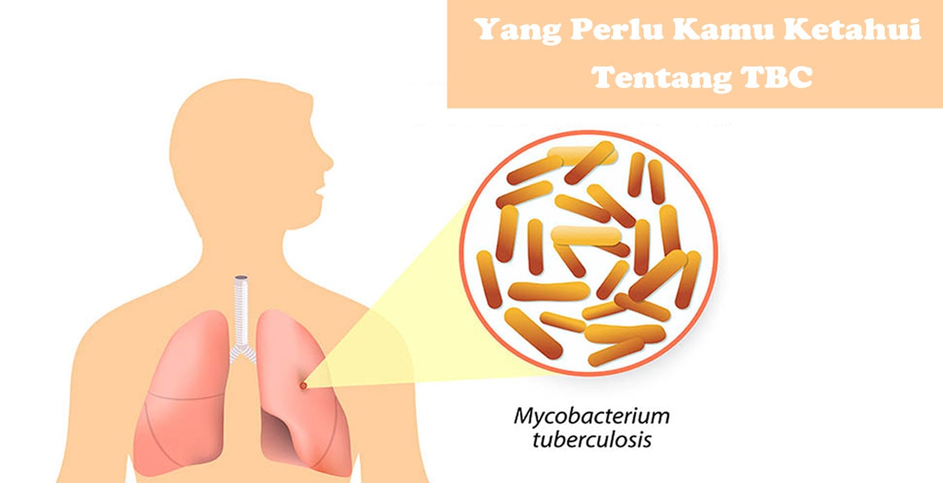 SAP, Leaflet, dan Lembar Balik TBC