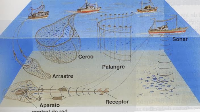 Artes de Pesca | Rías Atlánticas Blog