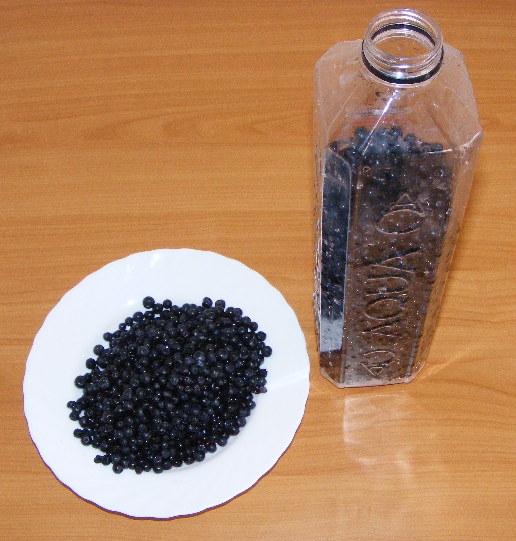 Afinata Retete lichior de afine | Preparatedevis.ro