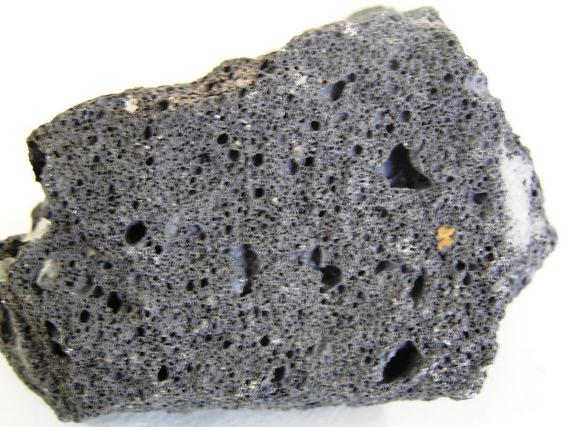 Biología 2º de Bachillerato: septiembre 2015