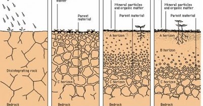 Geologi Pertambangan: PELAPUKAN DAN TANAH