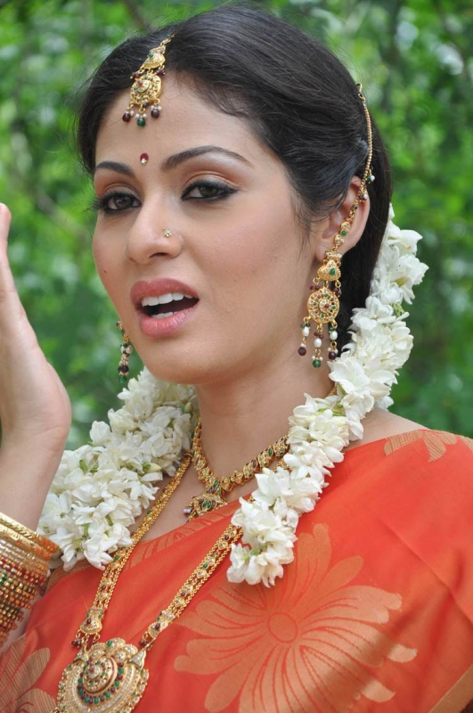 SUN SHINES: Sada In Saree latest photos